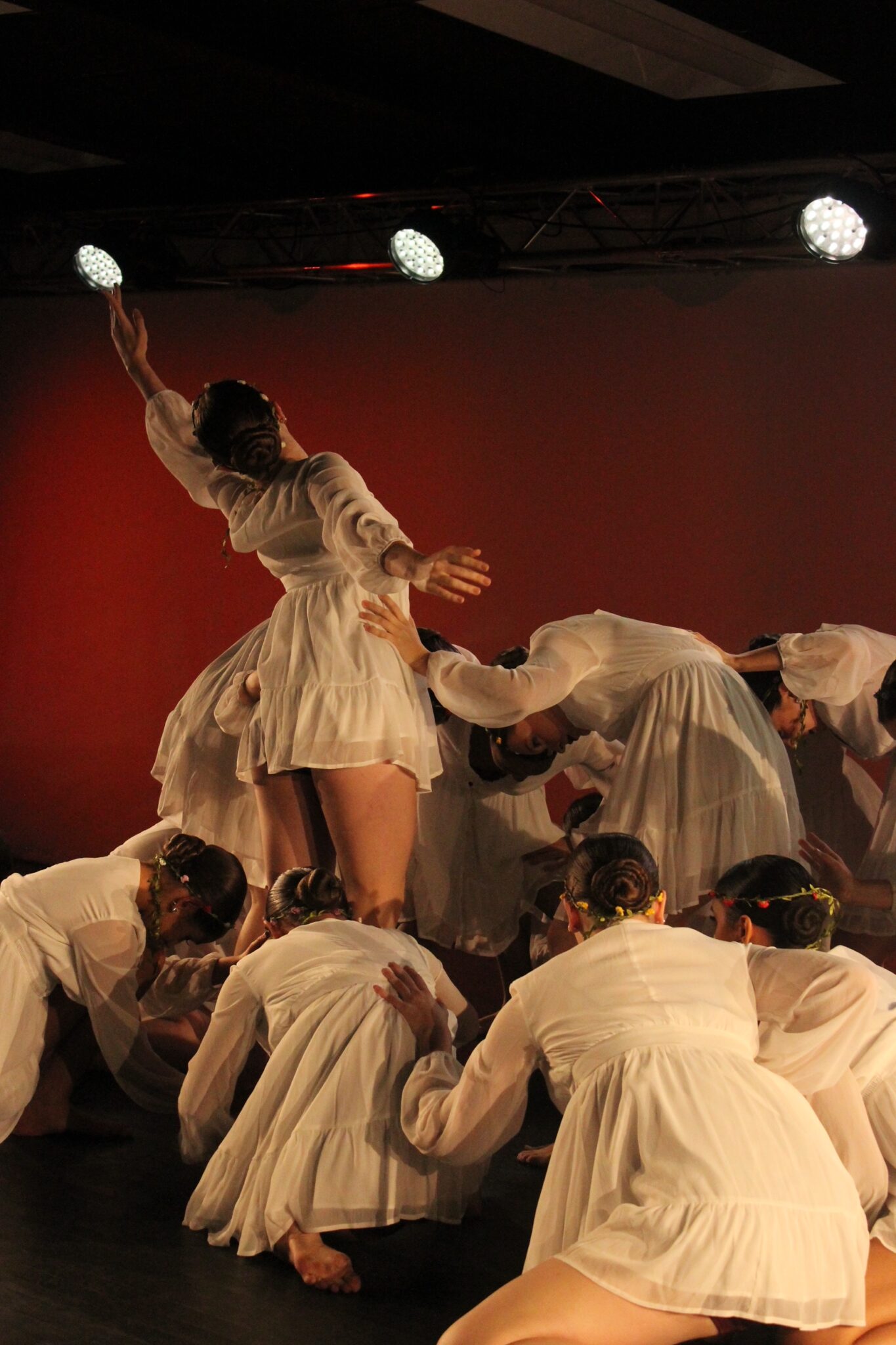 Photos - Dancing Plus